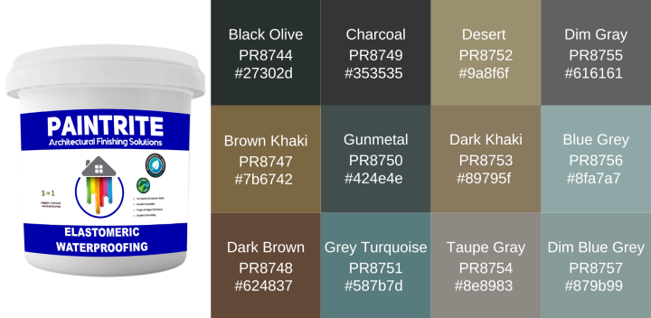 Paintrite Elastomeric Paints Color #5 | Lazada PH