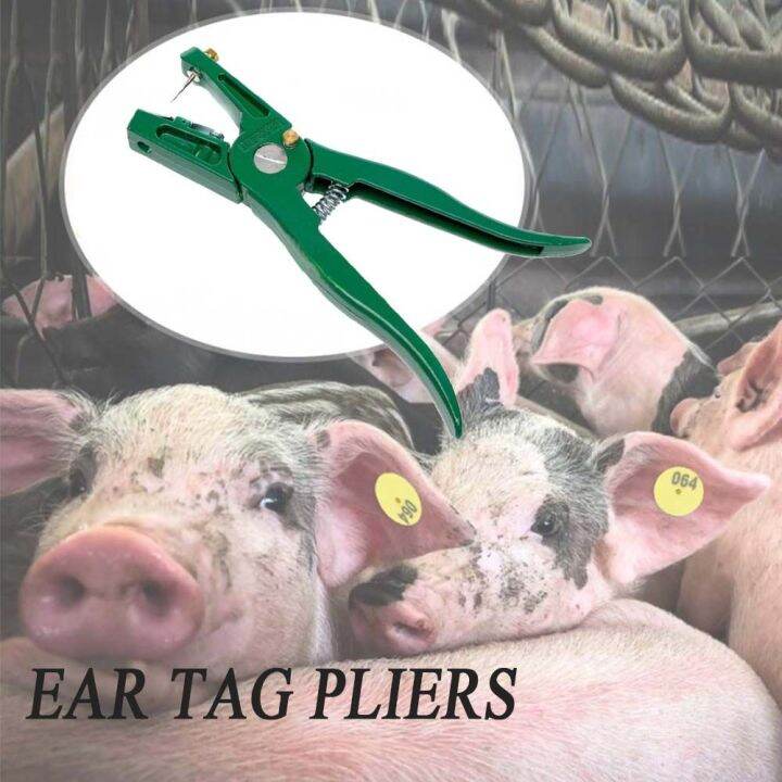 MANFANY Durable Metal Animal Installer Tool for Swine Cow Sheep Rabbit ...