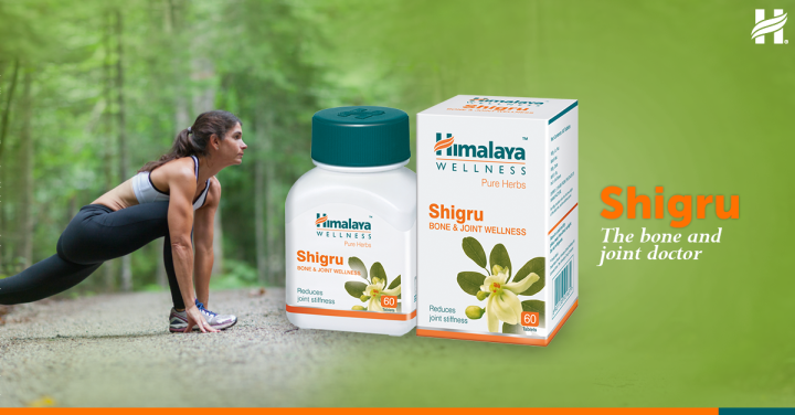 HIMALAYA SHIGRU BONE&JOINT WELLNESS TABLETS | Lazada