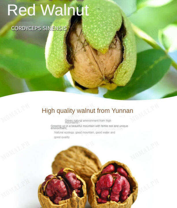 momai Red walnut bagong kalakal bagong prutas Yunnan pulang walnut ...