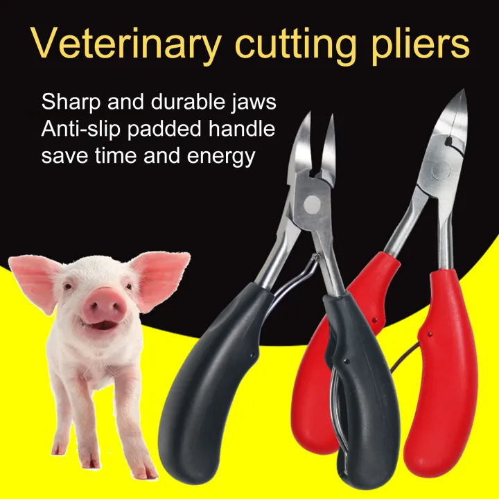 Forceps Slip-proof Handle Elastic Spring Pet Tooth Cutter Clipper ...