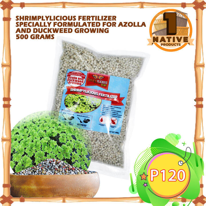 1Native Azolla Organic Fertilizer 500g- A biofertilizer to improve Soil ...