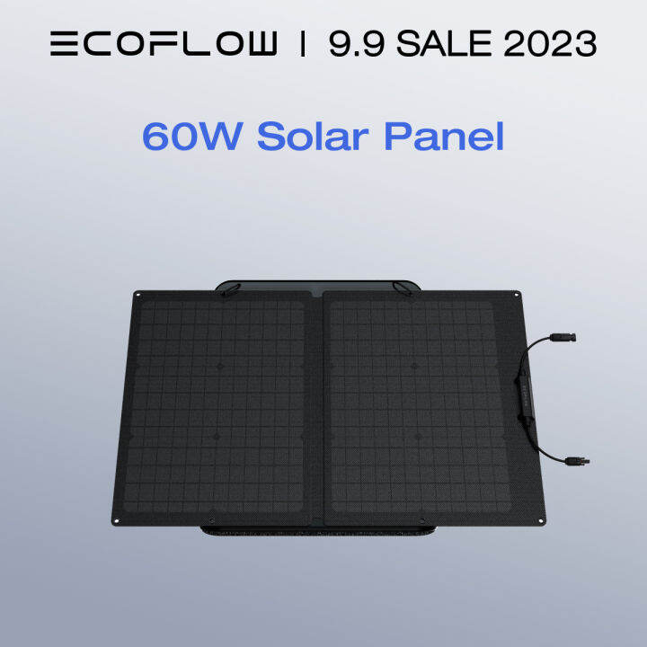 ECOFLOW [COD]60W Flexible Solar Panel with High Efficiency Solar ...