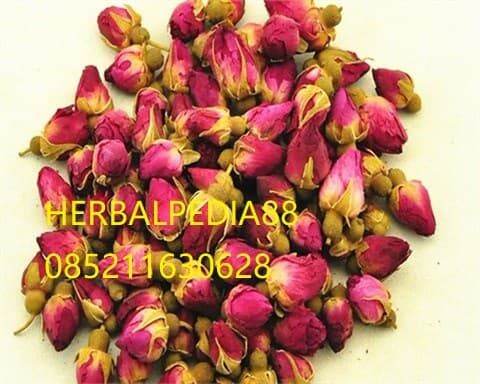 mei gui hua 玫瑰花 Rosae rugosae Flos Bunga rose 1kg | Lazada Indonesia