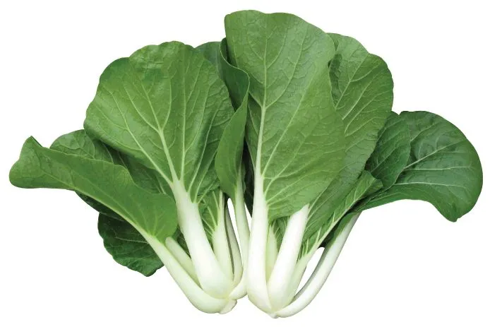 Pechay 3grams 900-1200pcs Black Behi White Stem Vegetables Plants Herbs ...