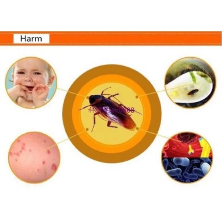 Insect Killer Cockroach Killer Powder Cockroach Killing Bait Pesticide ...