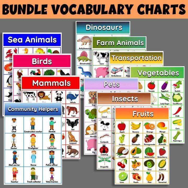 BUNDLE Educational Charts for Vocabulary Words - Transportation Animals ...
