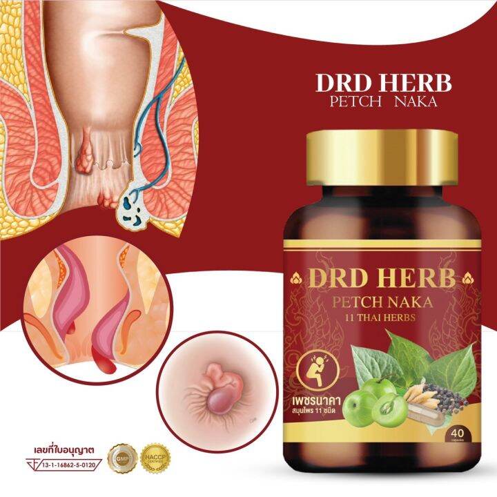 ‼️แท้ ส่งฟรี‼️ ดีอาร์ดี เฮิร์บ เพชรนาคา DRD HERB PETCH NAKA สมุนไพร 11 ชนิด 1 กระปุก 40 เม็ด ...