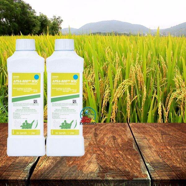 Amwy APSA-800 WSC Bahan Perata dan Perekat Ramah Lingkungan 1Ltr Ori ...