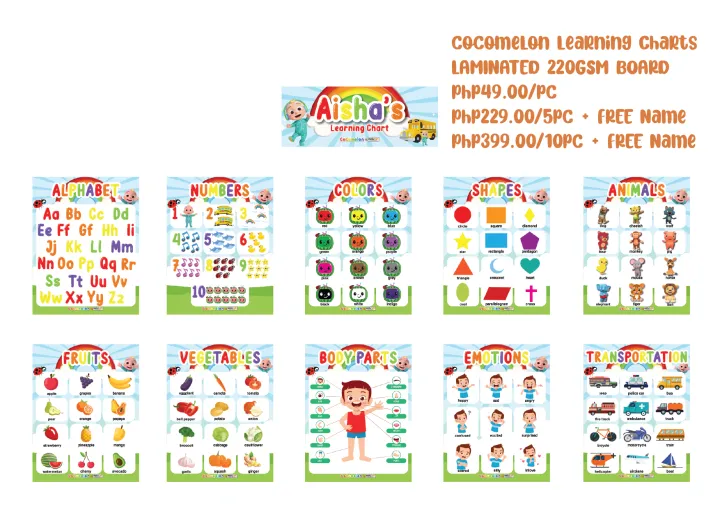 Personalized Laminated Learning Wall Chart | Lazada PH