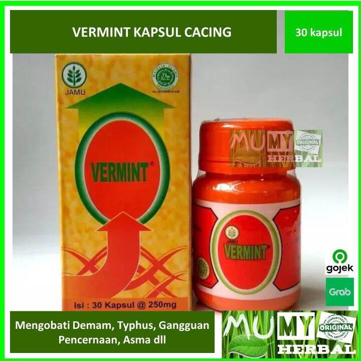 Vermint 30 Kapsul Cacing Obat Demam Thypus Obat Sakit Kepala Kapsul ...