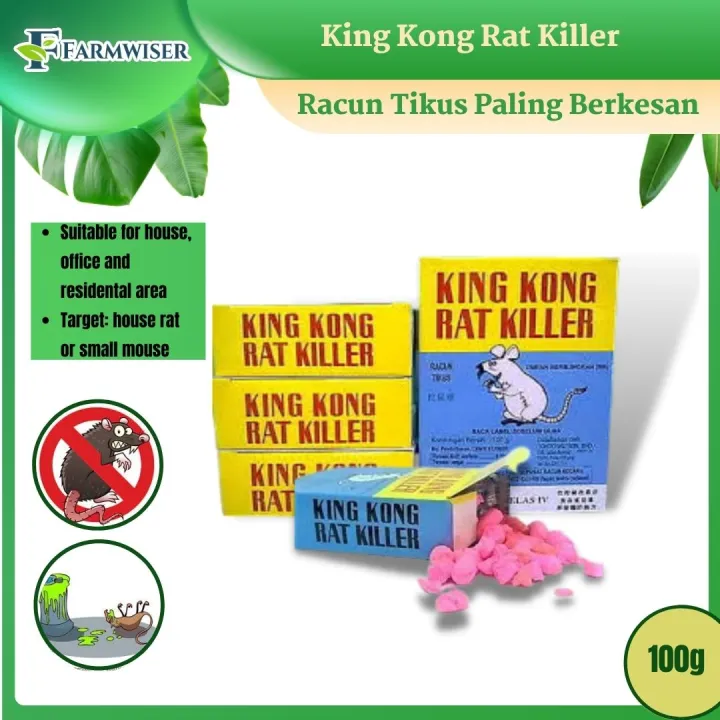 💥READY STOCK💥 King Kong Rat Killer ( Ubat Tikus ) 100g | Lazada