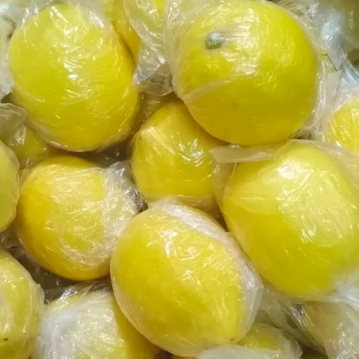 Jeruk Lemon Import Segar | Lazada Indonesia