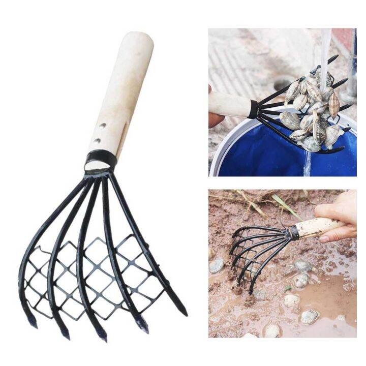 {Hot} Clam Rake 5 Claw Home Shell Beach Conch Dig อาหารทะเลอุปกรณ์เสริม ...