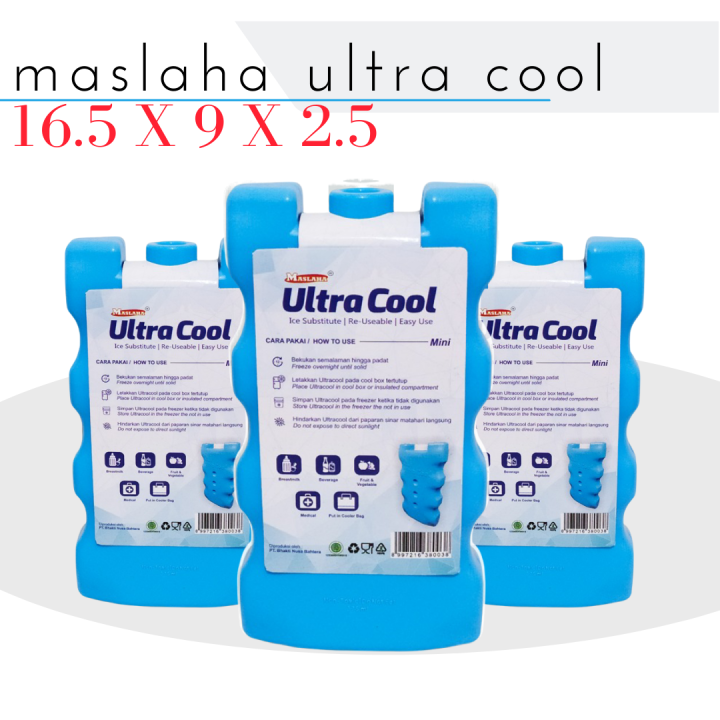 ICE PACK KOMPRES - ICE PACK GEL TAHAN BERAPA LAMA - KOTAK PENDINGIN ES ...