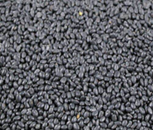 Small black bean seeds Hydroponic sprout seeds Black bean seedlings ...