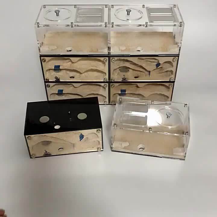 Acrylic Ant Farm Unlimited Expansion Ant Nest with Inligent Temperature ...