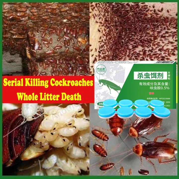 8pcs/Box Cockroach Killer Bait Effective Cockroach Medicine Powerful ...