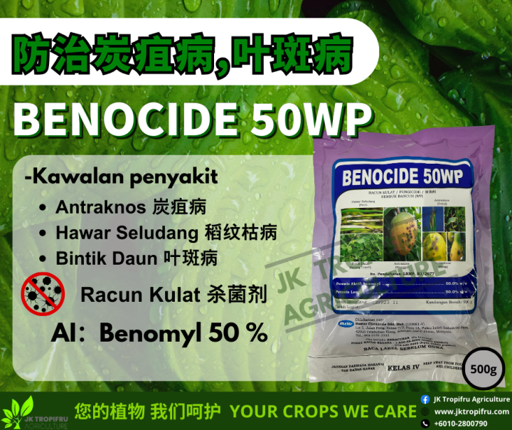 Benocide 50WP(500g) (Benomyl) Antraknos,Hawar Seludang,Bintik Daun 炭疽病 ...