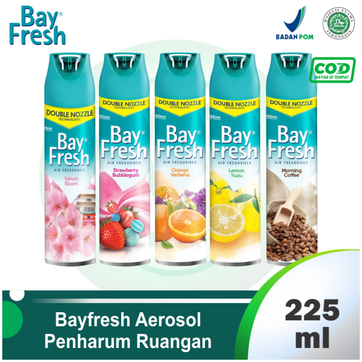 Bayfresh Aerosol Spray Pengharum Ruangan 225ml | Lazada Indonesia