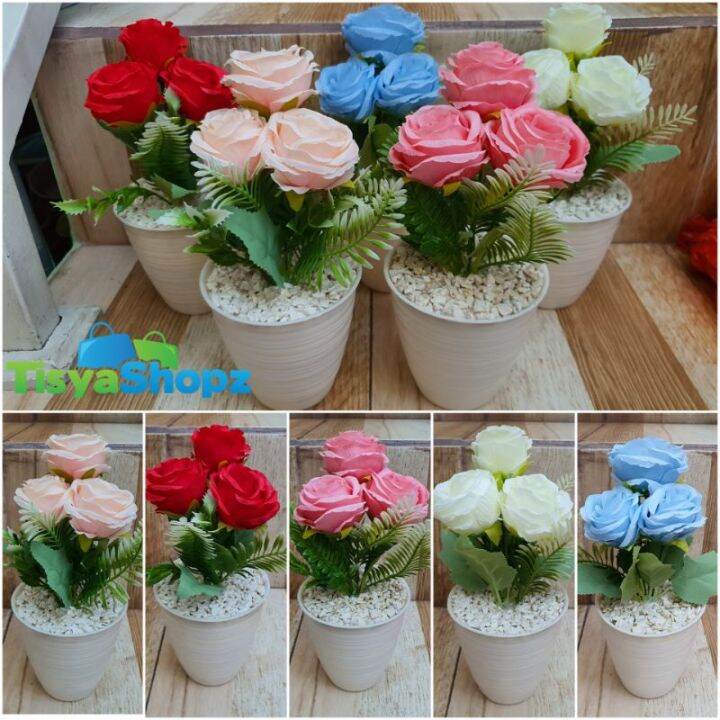 Bunga Mawar Premium 3 kuntum + Pot | Lazada Indonesia