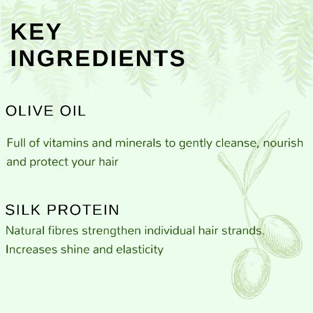 Dalan D'Olive Shampoo Anti-Dandruff 400ml | Lazada PH