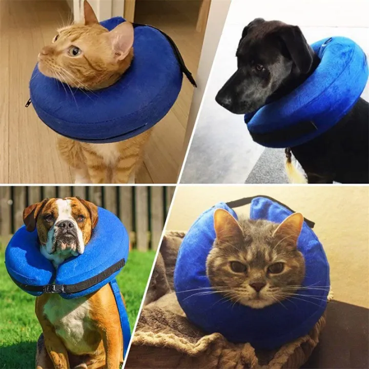 【Miss Lan】Inflatable Collar for Dogs and Cats Protective Inflatable ...