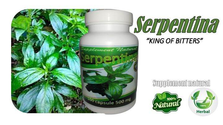serpentina ,SINTA.androraphis paniculata, for diabetic care | Lazada PH