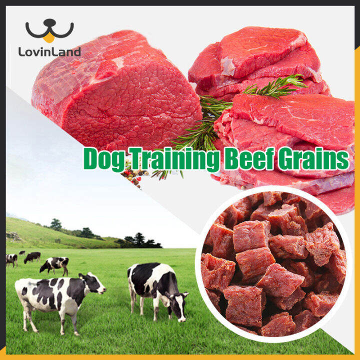 LUSCIOUS Pet Snacks Beef Grain Calcium Supplement Dog Training Reward ...