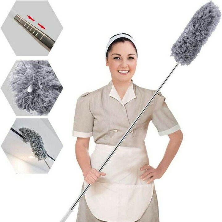 Extendable Cobweb Brush Angled Head Feather Duster Long Reach escopic ...