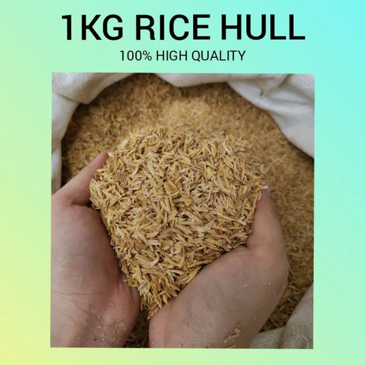 (1 KG) High Quality Rice Hull / Ipa | Lazada PH