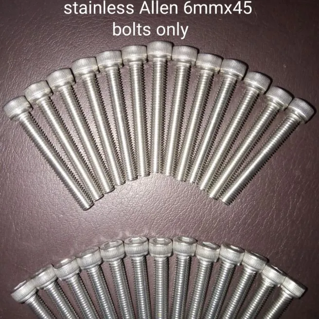 "Stainless Allen Bolts only!6mmx45 Sold per 10pcs! | Lazada PH
