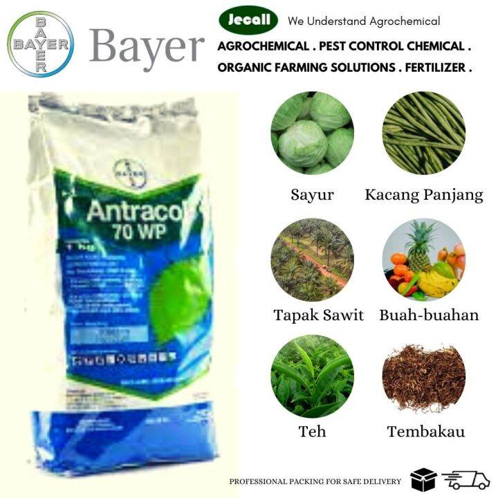 Bayer Antracol 70WP 1KG / Propineb 70% / Racun Kulat / Karat Daun ...