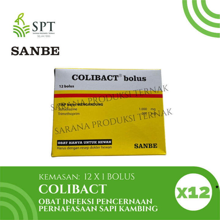 COLIBACT BOLUS SANBE OBAT INFEKSI PERNCERNAAN PERNAFASAN SAPI KAMBING ...