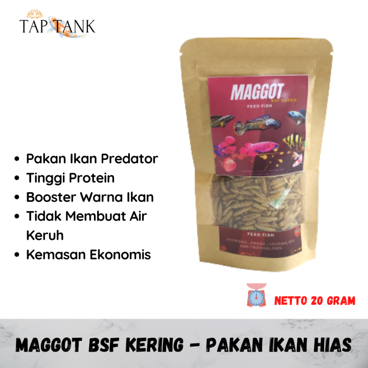 Magot Pelet Pakan Ikan Hias dan Predator Isi 20 gram | Lazada Indonesia