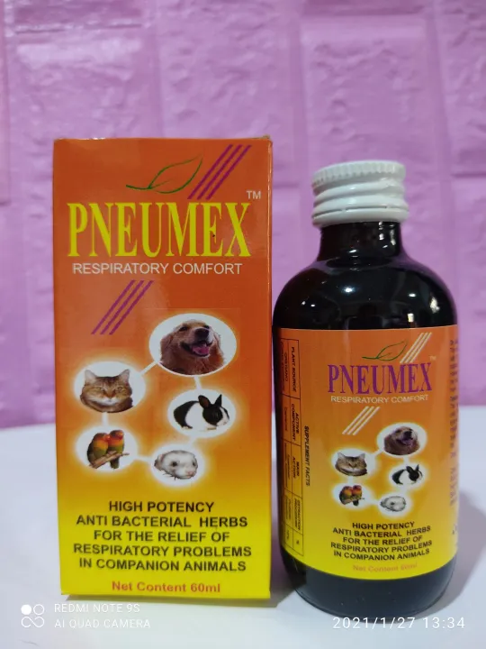 PNEUMEX (60ml) respiratory comfort | Lazada PH