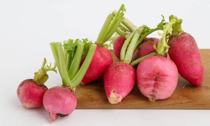 Lobak Merah | Lazada Indonesia