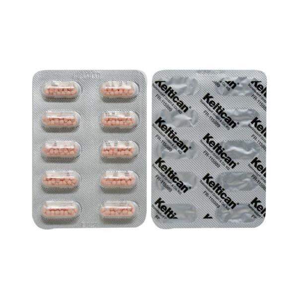 KELTICAN Uridin-5 monophosphate-diNa Vit B12 Folic acid 1 Capsule ...