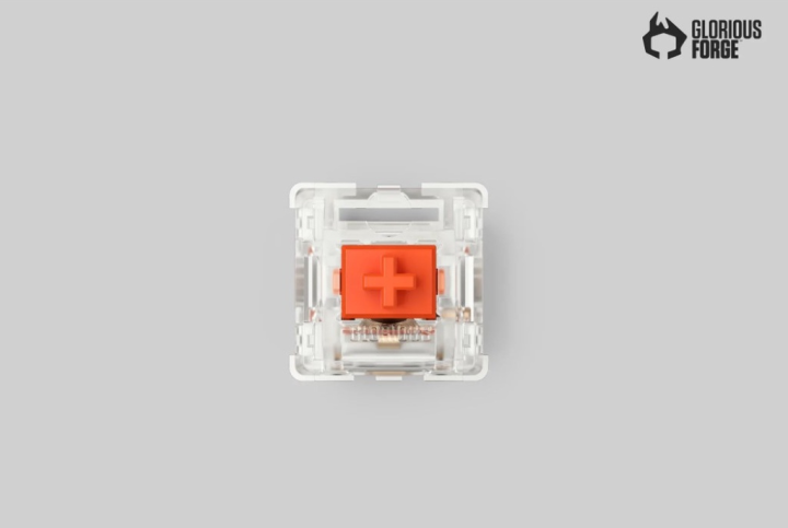 GLORIOUS FOX SWITCHES | Lazada PH