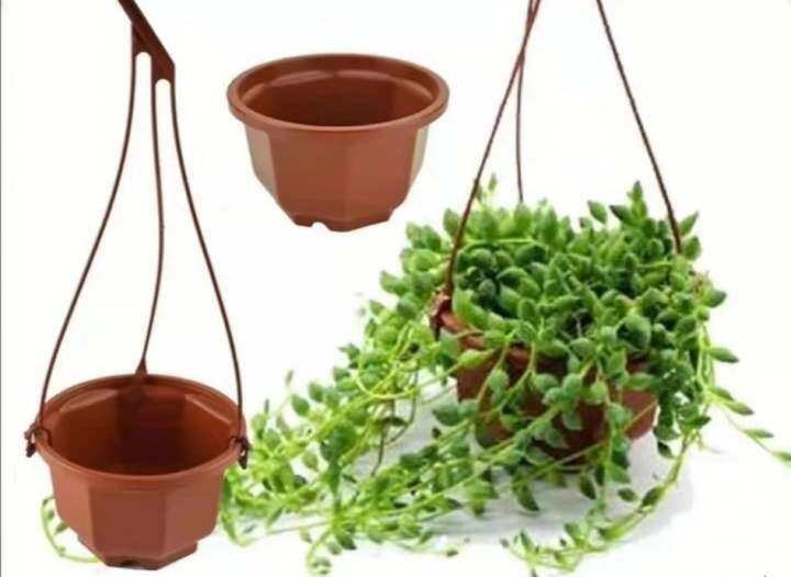 Mini & Small Octagon Size Succulent Hanging Pots, Plastic Hanging Pots ...