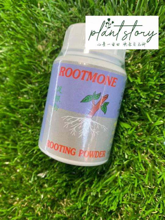 🌱ROOTING POWDER🌱 ROOTMONE PLANTS🌱生根粉 🌱PENGGALAK AKAR POKOK BUNGA 50g🌱 ...