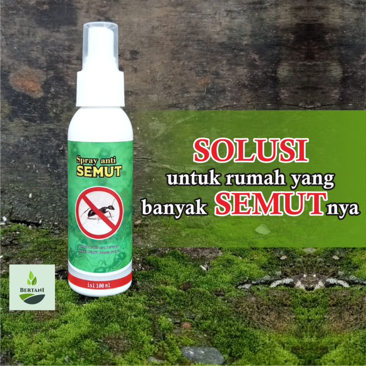 Obat Semut Paling Ampuh Semprot kemasan 100ml | Lazada Indonesia