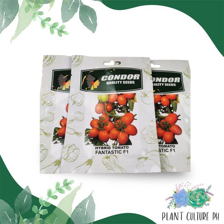Condor Quality Seeds Hybrid Tomato Fantastic F1 0.5g by Plant Culture ...