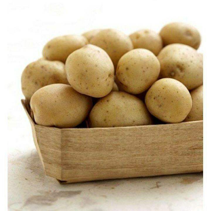 KENTANG DIENG FRESH 1 KG | Lazada Indonesia