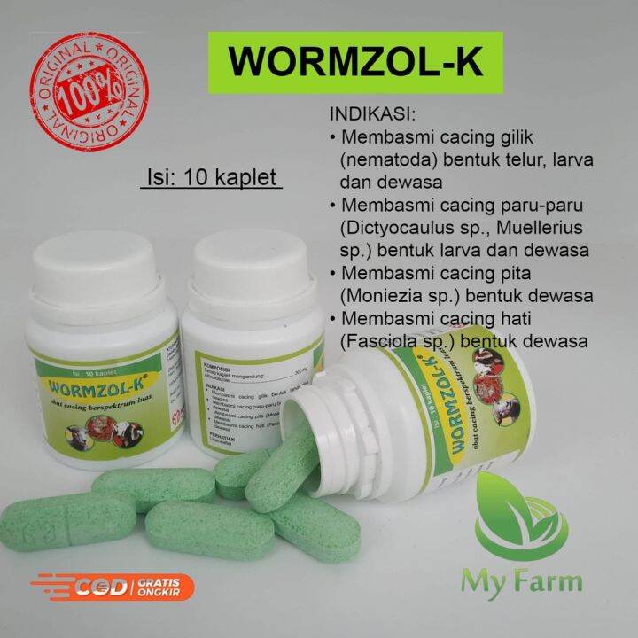 Wormzol-K Isi 10 Kaplet Obat Cacing Berspectrum Luas Ampuh Membasmi ...