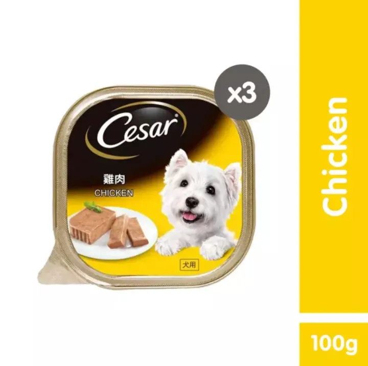 CESAR® Chicken Wet Dog Food Set of 3 (100g) | Lazada PH