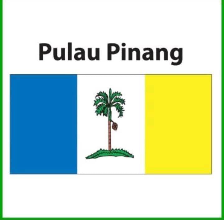 Pulau Pinang Flag 3x6ft, Bendera Pulau Pinang 3x6ft, Polymesh | Lazada