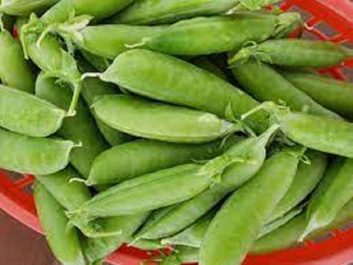 SITSARO SEED`S/ sweet peas | Lazada PH