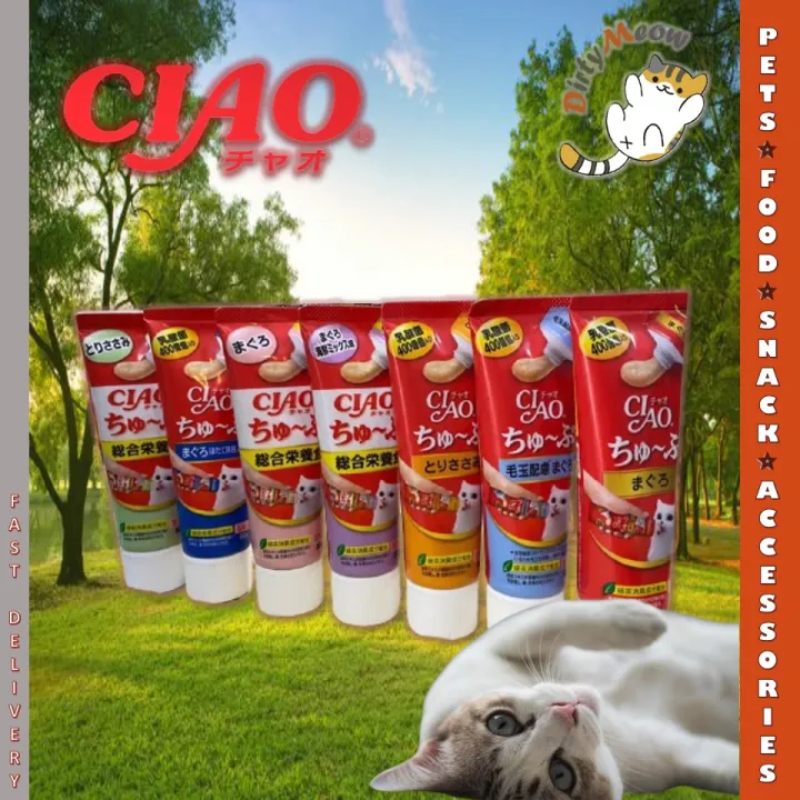 Ciao Churu Tube Supplent Treat Paste Hairball / Complete (80g) | Lazada