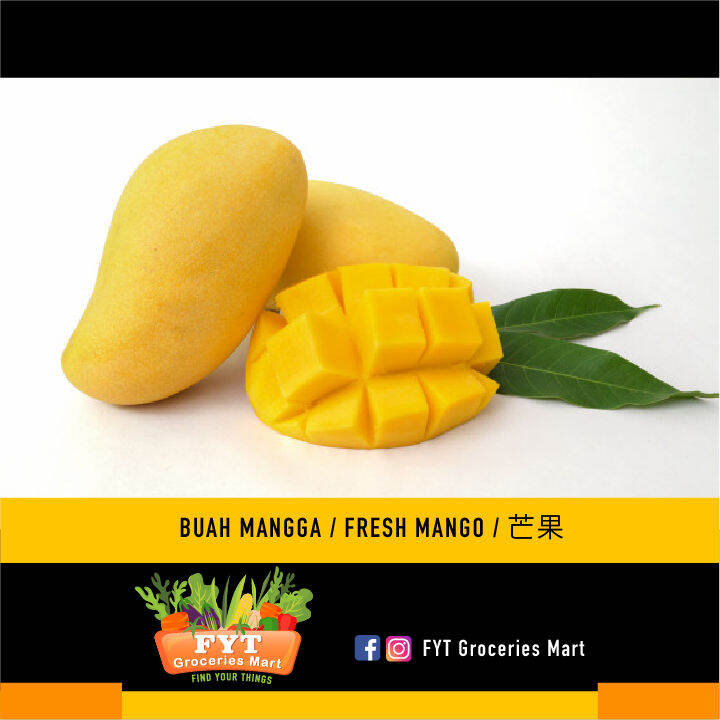 FYT GROCERIES - FRUIT - BUAH MANGGA LILY / FRESH LILY MANGO / 芒果 | Lazada